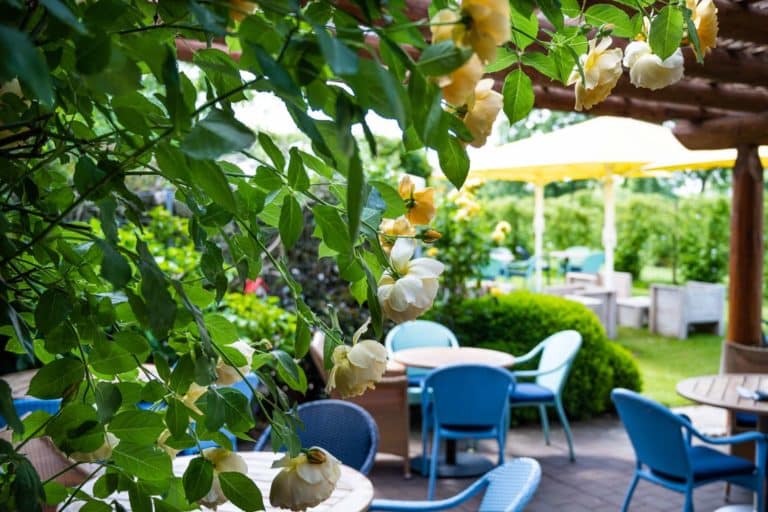 Hof Moorhörn - Beeren pflücken in der Region Kiel